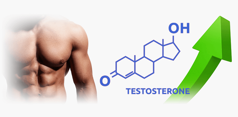 Rev up your strength, energy, health, stamina, and sex drive